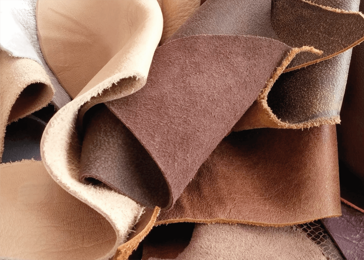 About WasteBase – Mission to Repurpose Residual Materials